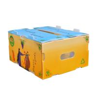 China PP Corrugated Plastic Vegetable Box 500x270x270mm Waterproof Reusable Shipping Box for sale