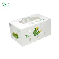 China Correx Vegetable Corrugated Boxes Agriculture Hollow Board Box for sale