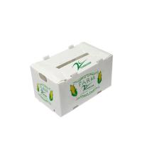 China Correx Vegetable Corrugated Boxes Agriculture Hollow Board Box for sale