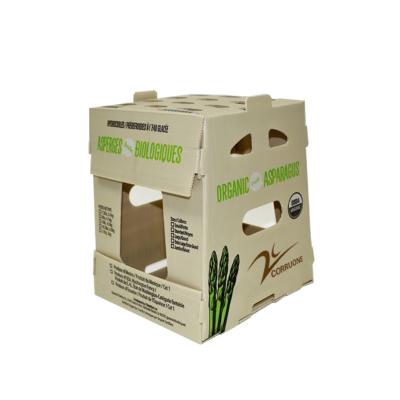 China PP PE Mango Corrugated Box Polypropylene Corflute Storage Boxes 600x400x300mm for sale