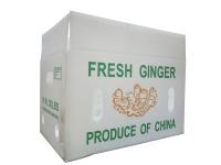 China PP PE Mango Corrugated Box Polypropylene Corflute Storage Boxes 600x400x300mm for sale