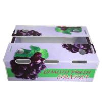 China Broccoli Corflute Storage Boxes Honeycomb Corrugated Box For Fruits for sale
