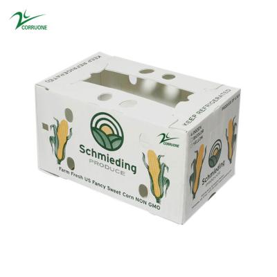 China Corruone Waterproof Folding PP Corrugated Plastic Fruit Vegetable Packing Box 55x45x35cm for sale