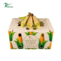 China Corruone Waterproof Folding PP Corrugated Plastic Fruit Vegetable Packing Box 55x45x35cm for sale
