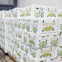China Corruone Waterproof Folding PP Corrugated Plastic Fruit Vegetable Packing Box 55x45x35cm for sale