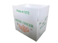 China Fruit Vegetable Packing PP Cartonplast Grapes Packing Boxes Plastic Broccoli Boxes Corrugated Ginger Sheet for sale