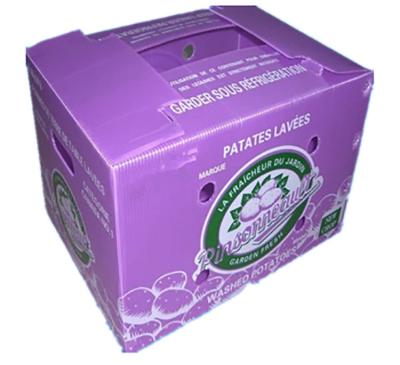 China PP Cartonplast Fruit Vegetable Corrugated Boxes For Grapes Broccoli for sale