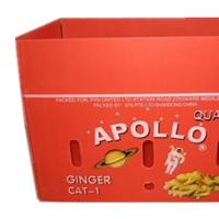 China PP Cartonplast Fruit Vegetable Corrugated Boxes For Grapes Broccoli for sale