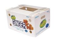 China Ginger Vegetable Corrugated Boxes Cartonplast Corrugated Polypropylene Boxes for sale