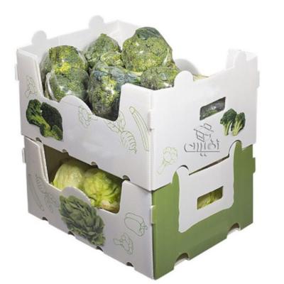 China Custom PP Corrugated Plastic Fruit Vegetable Box 55x45x35cm Reusable Broccoli Packaging for sale