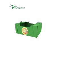 China Corruone polypropylene Wholesale waterproof PP corrugated plastic box fruit vegetable foldable PP plastic box for sale