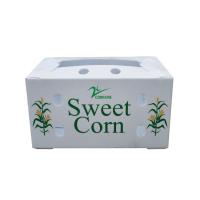 China Corruone polypropylene Wholesale waterproof PP corrugated plastic box fruit vegetable foldable PP plastic box for sale