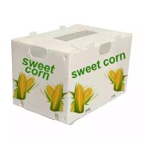 China Corruone PP Corrugated Plastic Asparagus Okra Fruit Vegetable Packaging Box 40x30x20cm for sale