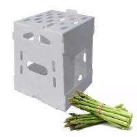 China Corruone PP Corrugated Plastic Asparagus Okra Fruit Vegetable Packaging Box 40x30x20cm for sale