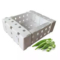 China Corruone PP Corrugated Plastic Folding Box 600x400x300mm Reusable Fruit Vegetable Container for sale