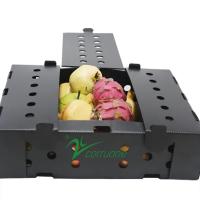 China Corruone PP polypropylene correx foldable box Fresh vegetable and fruits pp corrugated plastic sheet box for sale
