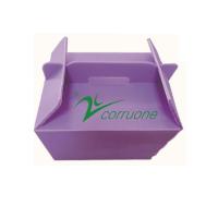China Corruone PP polypropylene correx foldable box Fresh vegetable and fruits pp corrugated plastic sheet box for sale