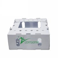China Corruone PP polypropylene correx foldable box Fresh vegetable and fruits pp corrugated plastic sheet box for sale