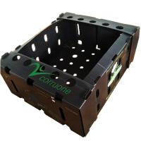 China Corruone PP polypropylene correx foldable box Fresh vegetable and fruits pp corrugated plastic sheet box for sale