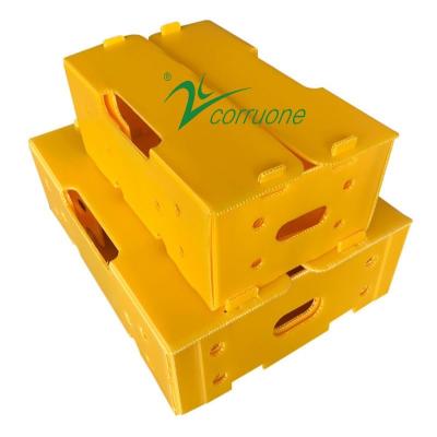 China Reusable Vegetable Corrugated Boxes 2mm-11mm Thickness Yellow Green for sale