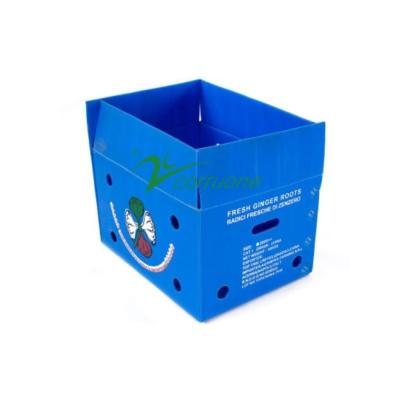China Corruone Waterproof PP Fruit Vegetable Packing Box 500x270x270mm 13.6kg Capacity Customizable for sale