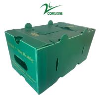 China Corruone Waterproof PP Fruit Vegetable Packing Box 500x270x270mm 13.6kg Capacity Customizable for sale