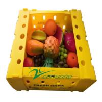 China Corruone Waterproof PP Fruit Vegetable Packing Box 500x270x270mm 13.6kg Capacity Customizable for sale
