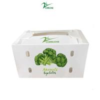 China Stackable Fluted PP Corrugated Box 500x270x270mm 3.5mm Thickness Polypropylene Box for sale