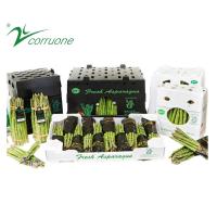 China Asparagus Corrugated Plastic Produce Boxes Food Grade Black White for sale