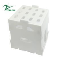 China Asparagus Corrugated Plastic Produce Boxes Food Grade Black White for sale