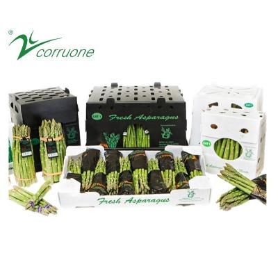 China 2mm 3mm Asparagus Folding Corrugated Plastic Boxes Polypropylene PP for sale