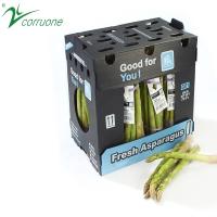 China 2mm 3mm Asparagus Folding Corrugated Plastic Boxes Polypropylene PP for sale
