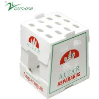 China 2mm 3mm Asparagus Folding Corrugated Plastic Boxes Polypropylene PP for sale
