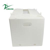 China Collapsible Corrugated Plastic Boxes 2mm to 11mm Thickness Custom Size PP Bins for sale