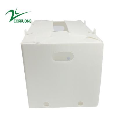 China Collapsible Corrugated Plastic Boxes 2mm to 11mm Thickness Custom Size PP Bins for sale