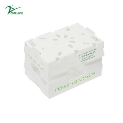 China Corruone PP Correx fruit seafood vegetable Cartonplast corrugated plastic Polypropylene boxes for sale
