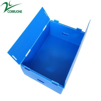 China PP Corrugated Plastic Box Twin Wall Fruit Vegetable Storage 600x400mm Blue for sale
