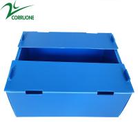 China PP Corrugated Plastic Box Twin Wall Fruit Vegetable Storage 600x400mm Blue for sale
