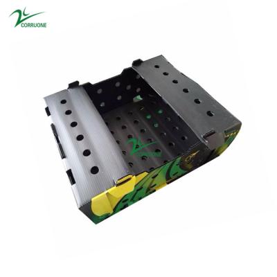 China Black Corriflute Fruit Corrugated Boxes Corrugated Plastic Storage Containers for sale