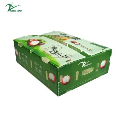 China PP Corrugated Plastic BOX for Vegetable and Fruit Box Corflute correx Corn broccoli and Agriculture Packing boxes for sale
