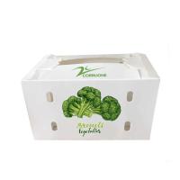 China Black Corriflute Fruit Corrugated Boxes Corrugated Plastic Storage Containers for sale