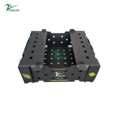 China Custom Corrugated Plastic Boxes for Corn PP Corrugated Fruit Box 4mm Thickness for sale
