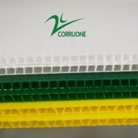 China Custom Corrugated Plastic Boxes for Corn PP Corrugated Fruit Box 4mm Thickness for sale
