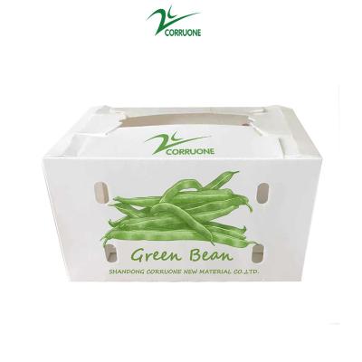 China OEM Broccoli Fruit Corrugated Boxes Corrugated Plastic Delivery Box for sale