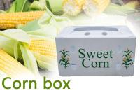 China OEM Broccoli Fruit Corrugated Boxes Corrugated Plastic Delivery Box for sale