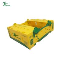 China A4 Nuc Asparagus Corrugated Plastic Sheet Box With UV Coating for sale