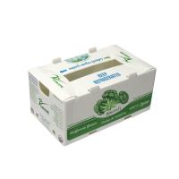 China PP Corrugated Plastic Box for Fruits Vegetables 600x400mm Waterproof Reusable for sale