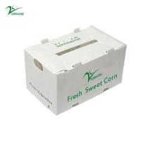 China PP Corrugated Plastic Box for Fruits Vegetables 600x400mm Waterproof Reusable for sale