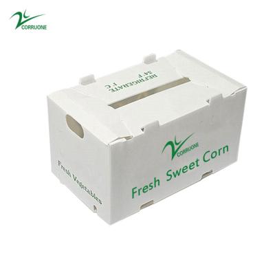 China PP Corrugated Plastic Box for Fruits Vegetables 600x400mm Waterproof Reusable for sale
