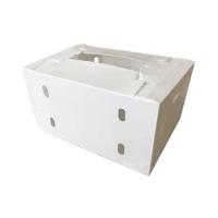 China PP Corrugated Plastic Box for Fruits Vegetables 600x400mm Waterproof Reusable for sale